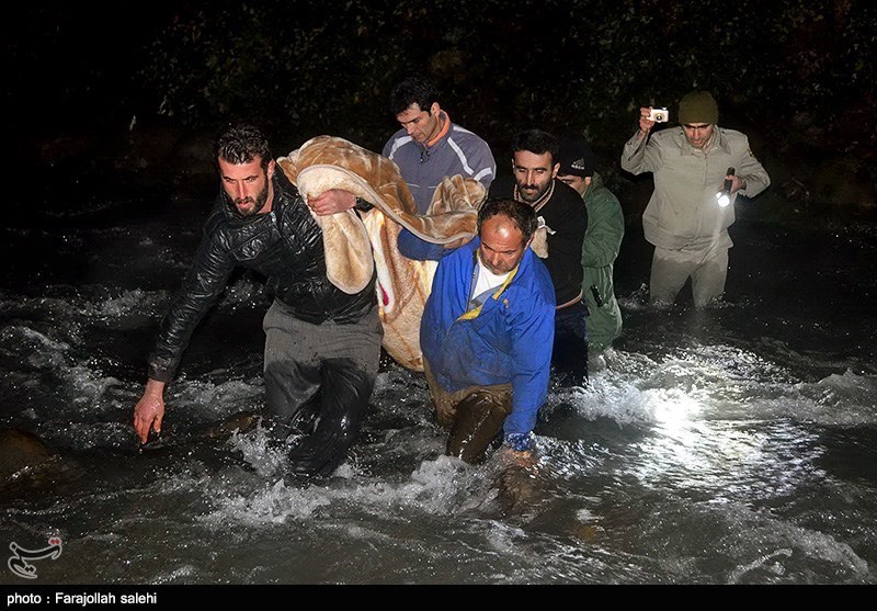 Photos: Rescue of a Persian leopard in Mazandaran jungle, Iran | The ...