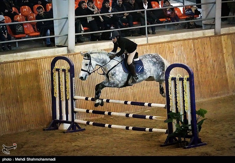 نخستین دوره مسابقات جایزه بزرگ اسب طلایی- عکس خبری تسنیم | Tasnim