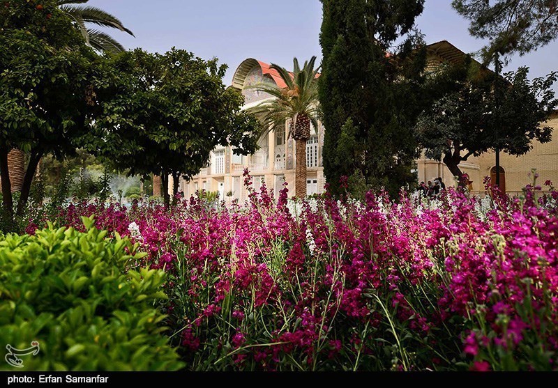 Iran's Beauties in Photos: Spring in Shiraz - Photo news - Tasnim News ...