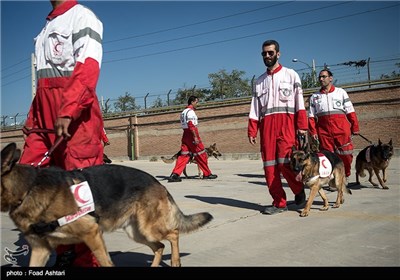 Photos: SAR Dogs Being Trained by Iran’s Red Crescent Society - Photo ...