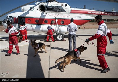 Photos: SAR Dogs Being Trained by Iran’s Red Crescent Society - Photo ...