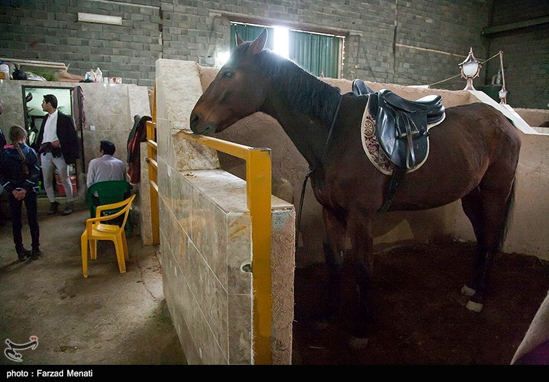 خبرگزاری تسنیم | Tasnim